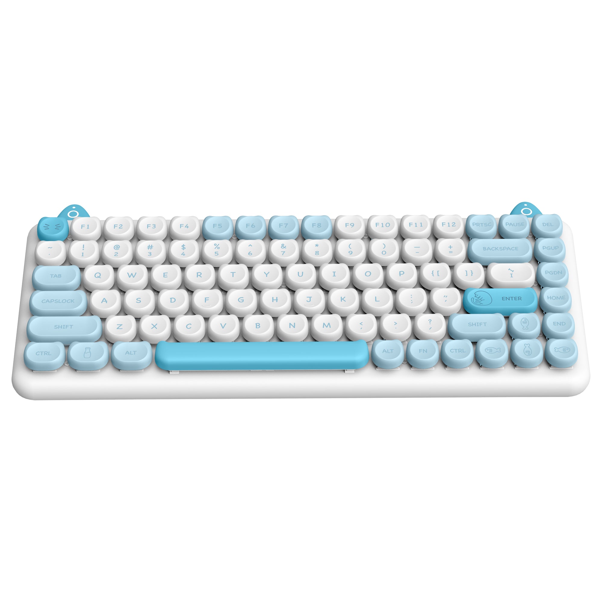 M80 Wireless Mechanical Keyboard - TheKeyboardStore